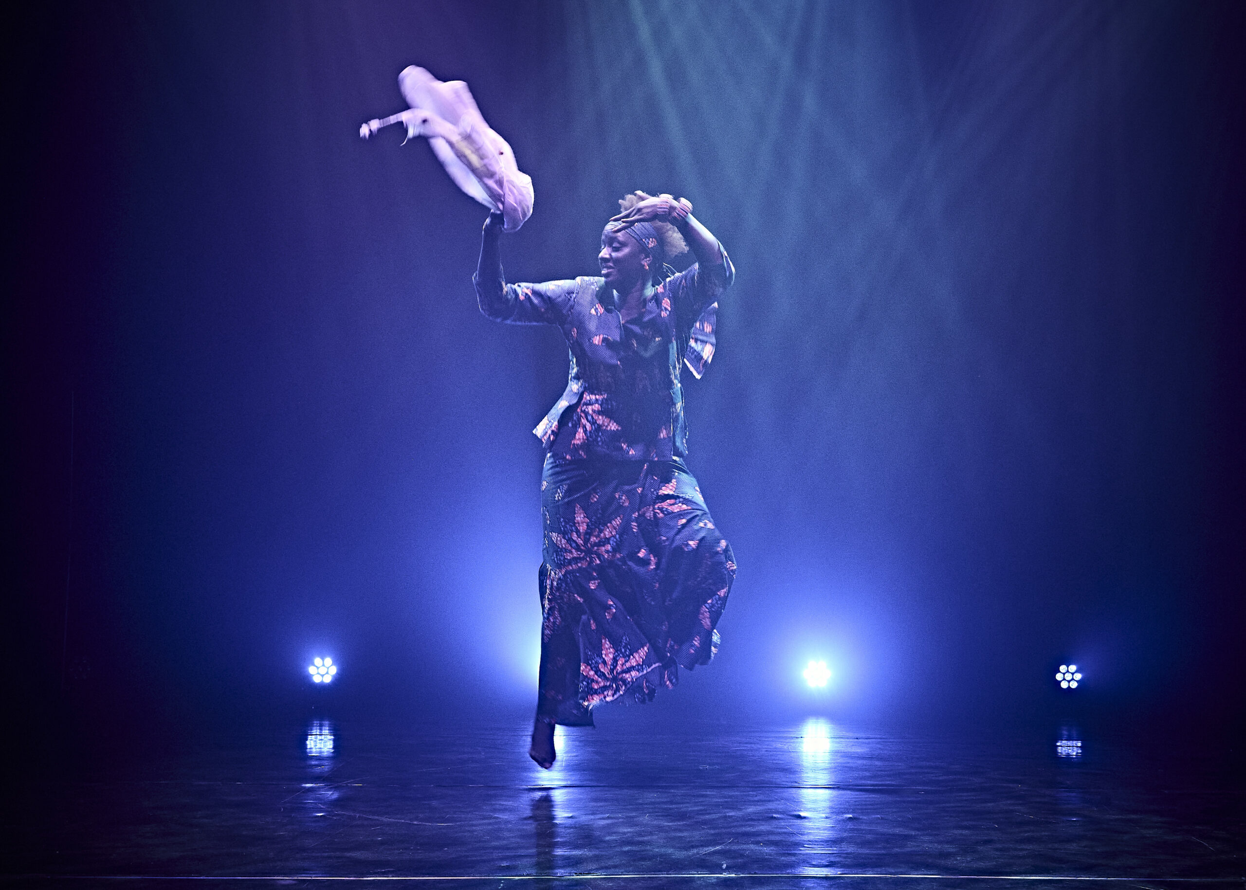 Aïda Diop - The Successors of the Mandingue